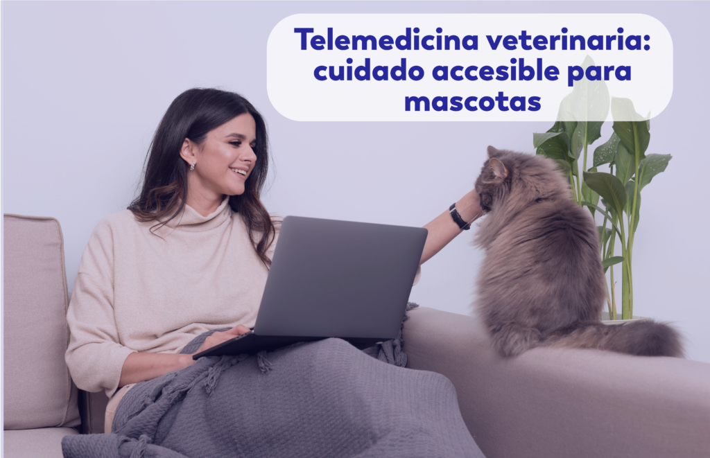 Telemedicina Veterinaria: Cuidado Accesible para Mascotas - holadr.com.co